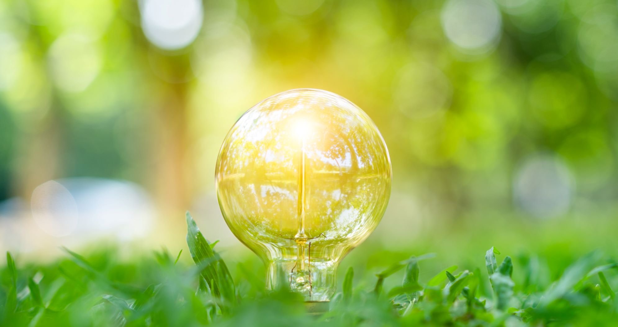 Harnessing nature-based solutions to respond to climate breakdown ...