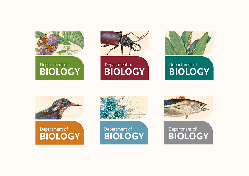 International award for new departmental logo | Department of Biology